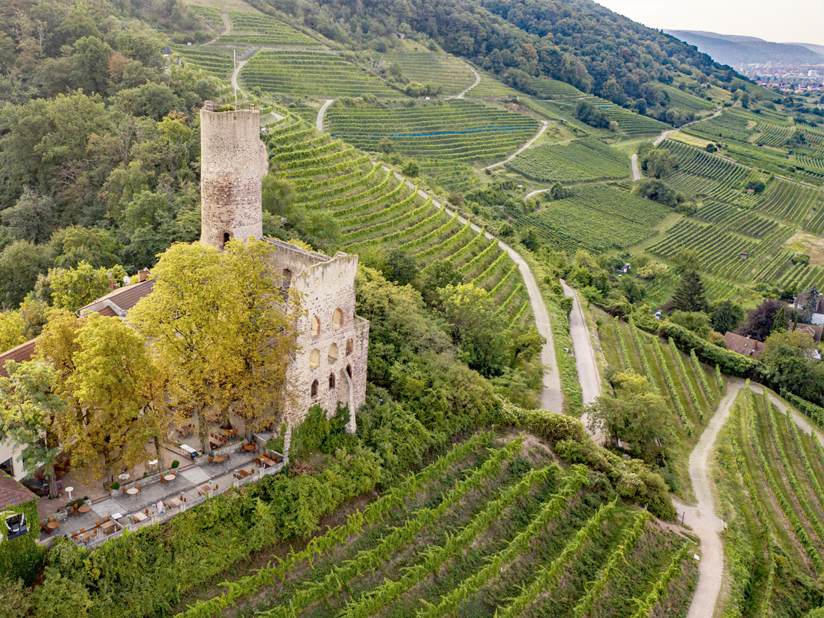 BLÜTENWEG – Etappe 5 – Burgensteig Bergstraße